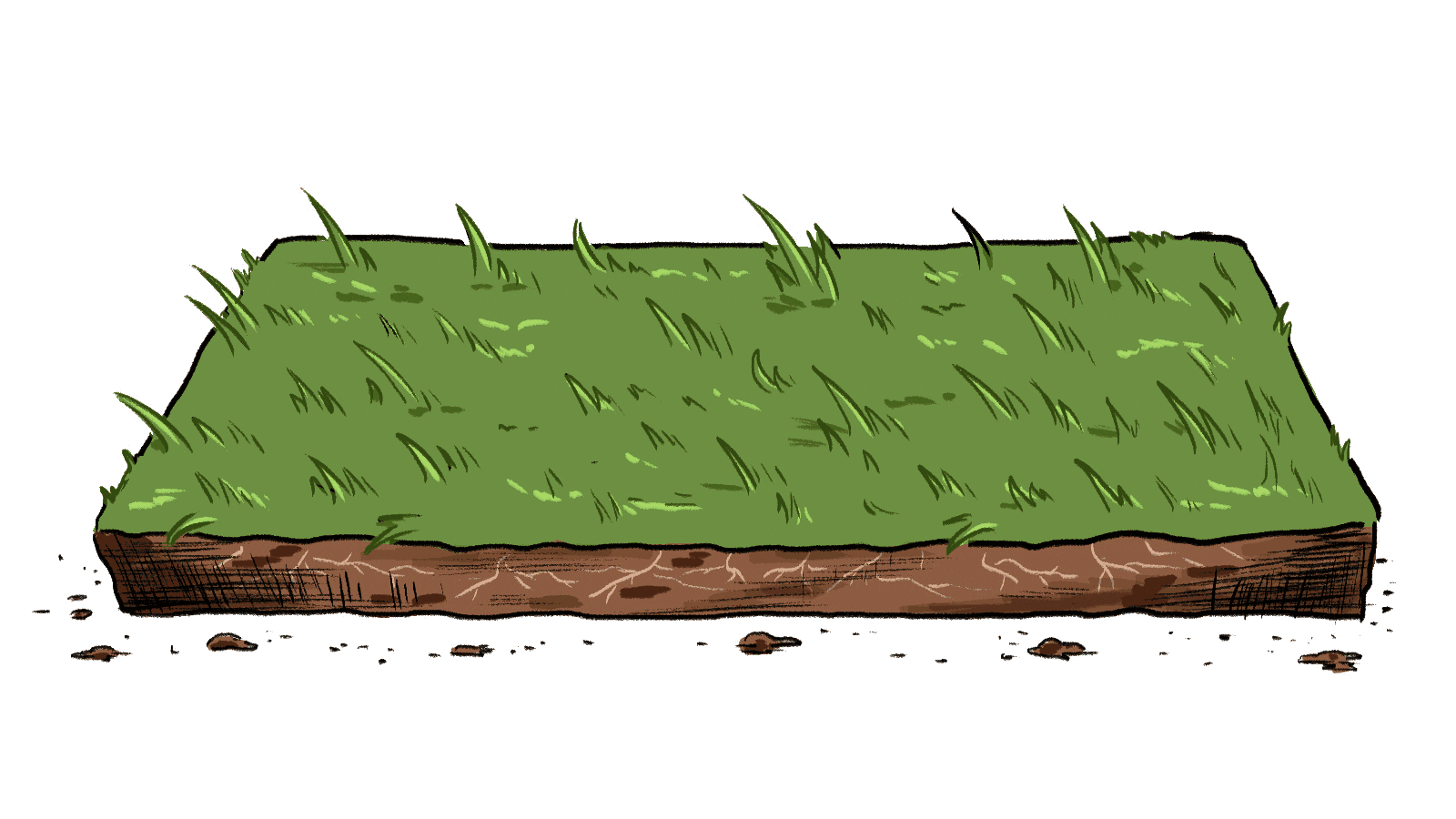 Hate Mowing Your Lawn? Good! Don’t Do It. - by Ted Steinberg and ... Hate Mowing Your Lawn? Good! Don’t Do It. - by Ted Steinberg and ...