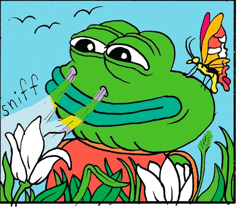 Pepe: An Explainer - by Matt Furie